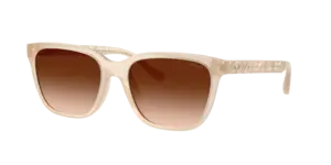 COACH Coach Sunglasses Brown Gradient