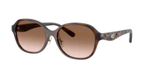 COACH Tortoiseshell Oval Sunglasses - Brown Gradient