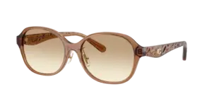 COACH Tortoiseshell Oval Sunglasses - Clear Brown
