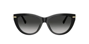 Tiffany & Co. Sunglasses - Grey Gradient