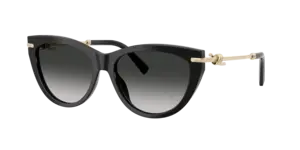Tiffany & Co. Sunglasses Grey Gradient