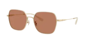 COACH Sunglasses Brown Solid