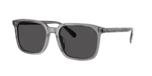 COACH Sunglasses - Grey Solid