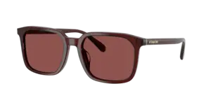 COACH Sunglasses - Wine Solid