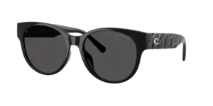 COACH Full Rim Sunglasses Grey Solid