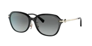 COACH Full Rim Sunglasses - Grey Gradient