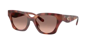 COACH Sunglasses Brown Pink Gradient