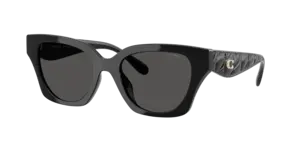 COACH Sunglasses - Grey Gradient Polarized