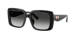 COACH Coach Sunglasses Grey Gradient