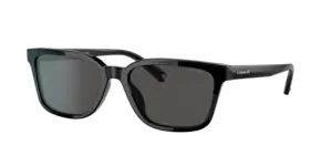 COACH Sunglasses With Lenses - Dark Grey Solid