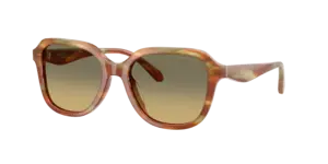 COACH Striated Redwood And Maple Frame Sunglasses - Green Grey Gradient