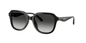 COACH Striated Redwood And Maple Frame Sunglasses - Grey Gradient
