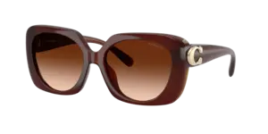COACH Sunglasses With Logo - Brown Gradient