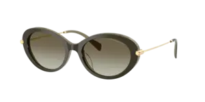 Michael Kors Rockaway Sunglasses - Olive Gradient