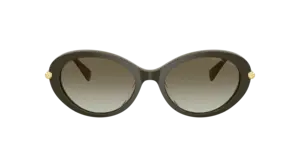 Michael Kors Rockaway Sunglasses - Olive Gradient