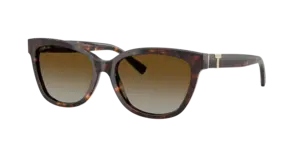 Tiffany & Co. Sunglasses Polar Brown Gradient