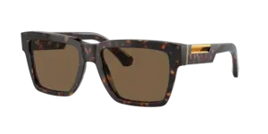 Dolce & Gabbana Havana Sunglasses - Dark Brown