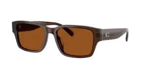 COACH Sunglasses - Brown Solid