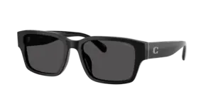 COACH Sunglasses - Grey Solid