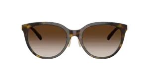 Tiffany & Co. Sunglasses - Brown Gradient