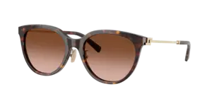 Tiffany & Co. Sunglasses - Brown Gradient