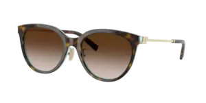 Tiffany & Co. Sunglasses - Brown Gradient
