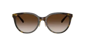 Tiffany & Co. Sunglasses - Brown Gradient