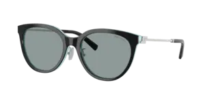 Tiffany & Co. Sunglasses - Dark Grey