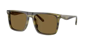 Coach Sunglasses - Green Grey