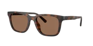 COACH Sunglasses Brown Solid