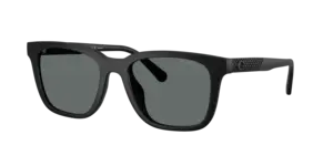 COACH Sunglasses Grey Solid Polarized