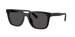 COACH Sunglasses - Grey Solid