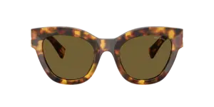 Miu Miu Mu 01ysf Sunglasses - Dark Brown