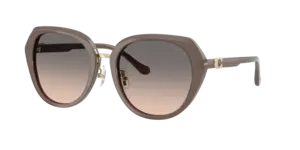 COACH Sunglasses - Grey Sand Gradient