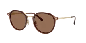 COACH Sunglasses HC7183 CBZ97 Brown Solid