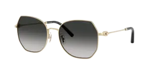 COACH Octagon Frame Sunglasses - Grey Gradient