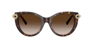 Tiffany & Co. Sunglasses - Brown Gradient