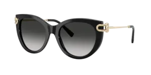 Tiffany & Co. Sunglasses Gray Gradient