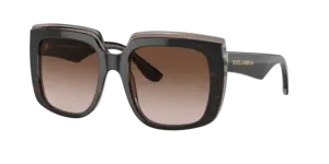 Dolce & Gabbana Havana On Transparent Brown Sunglasses - Gradient Brown
