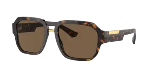 Dolce & Gabbana Sunglasses - Dark Brown
