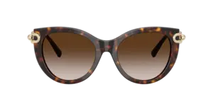 Tiffany & Co. Havana Sunglasses - Brown Gradient