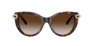 Tiffany & Co. Havana Sunglasses - Brown Gradient