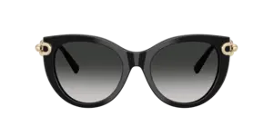 Tiffany & Co. Sunglasses - Gray Gradient