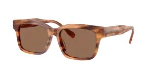 Tory Burch Sunglasses TY7227D Dark Brown