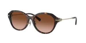 Tiffany & Co. Sunglasses - Brown Gradient