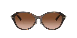 Tiffany & Co. Sunglasses - Brown Gradient