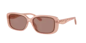 COACH Sunglasses Light Brown Solid