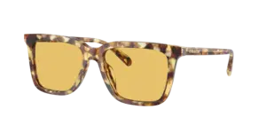 COACH Coach Sunglasses Amber Solid