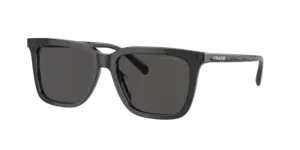 COACH Coach Sunglasses Grey Solid