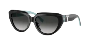 Tiffany & Co. Oval Sunglasses - Grey Gradient